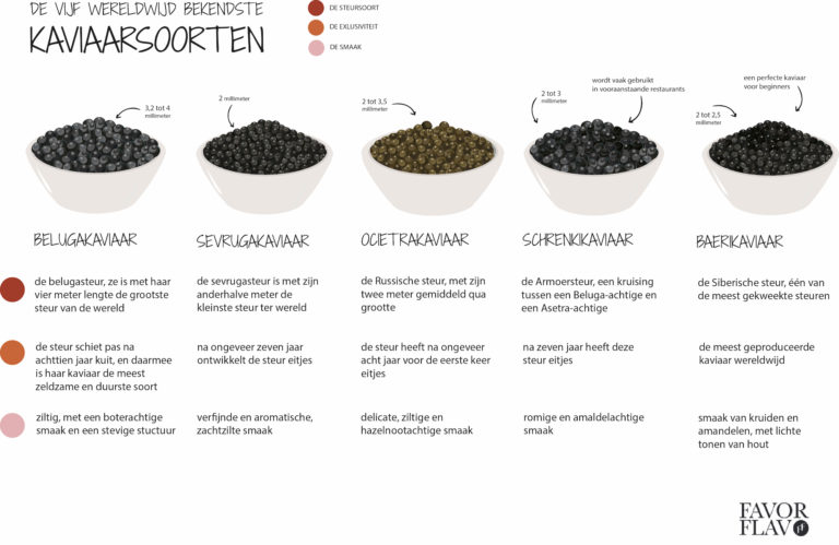 Alles over kaviaar | FavorFlav