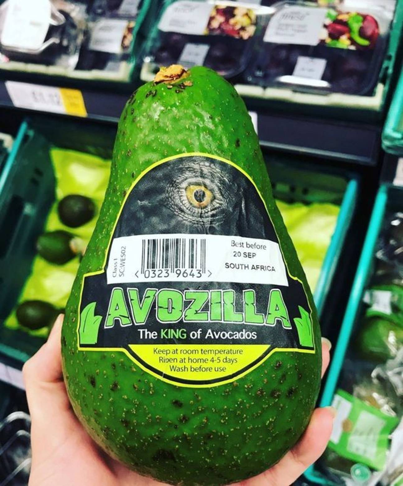 Ze doen geen kwaad maar ze zijn wel gigantisch: de Avozilla ...