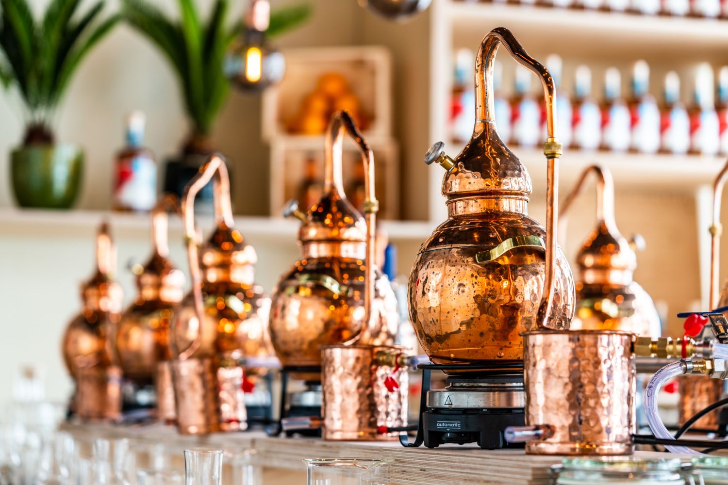 Maak nu je eigen rum in Amsterdam | FavorFlav